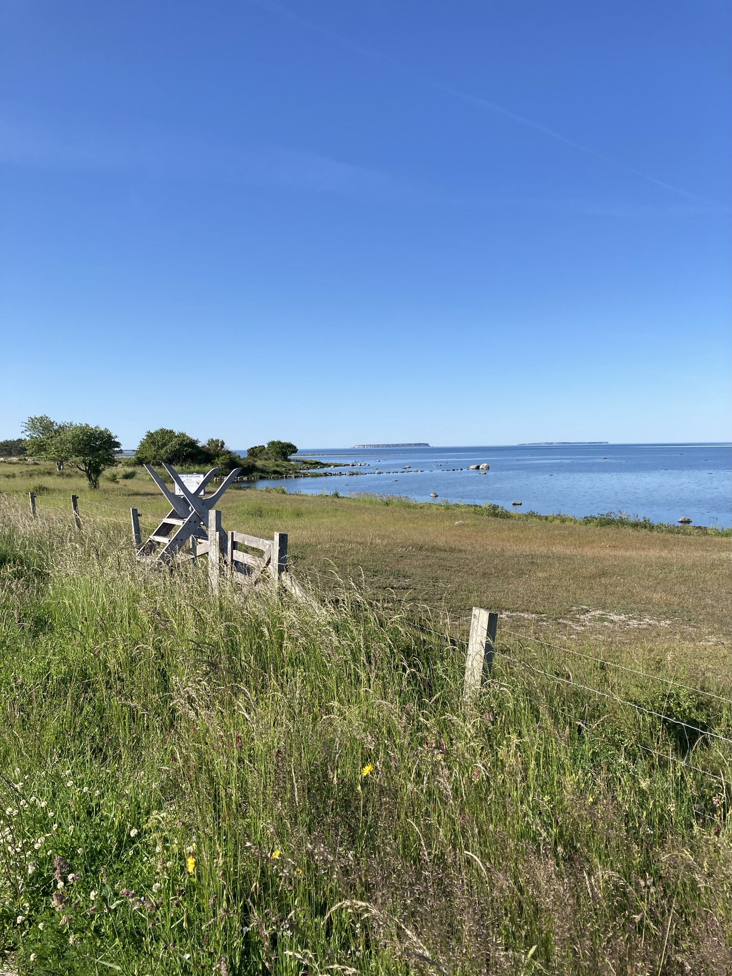 Trevlig midsommar – Suderviljan Handelsträdgård
